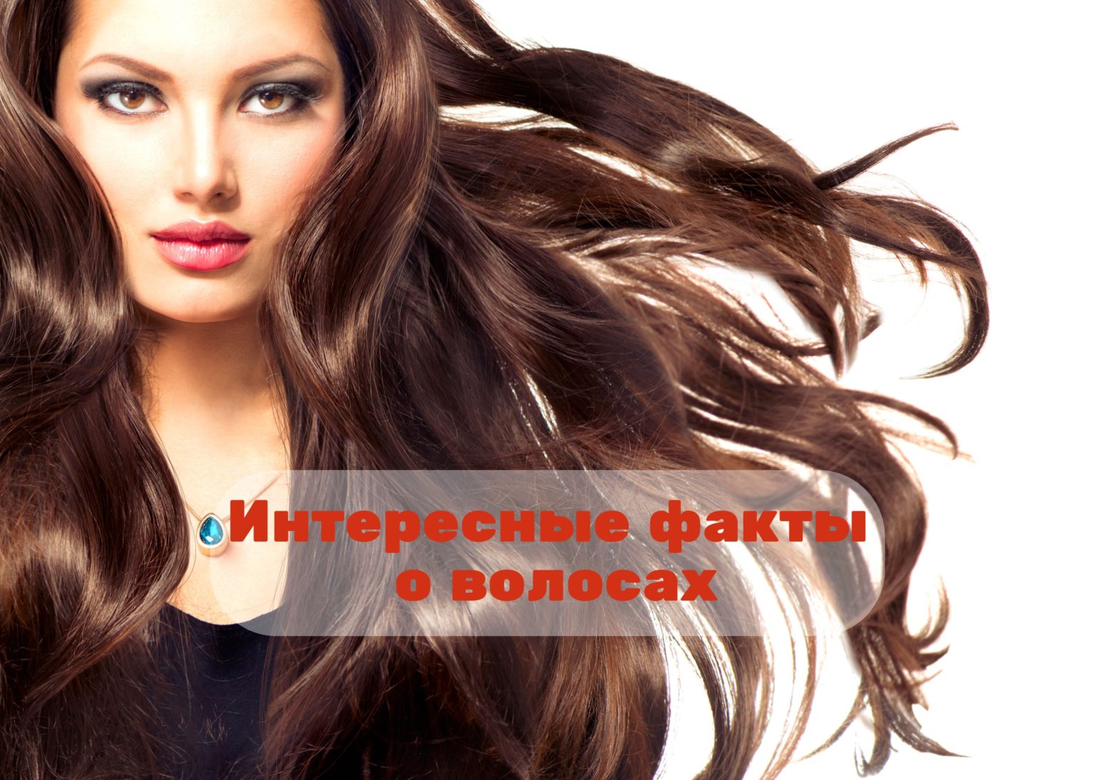 Химический состав волоса: биохимия волос, из чего состоят волосы